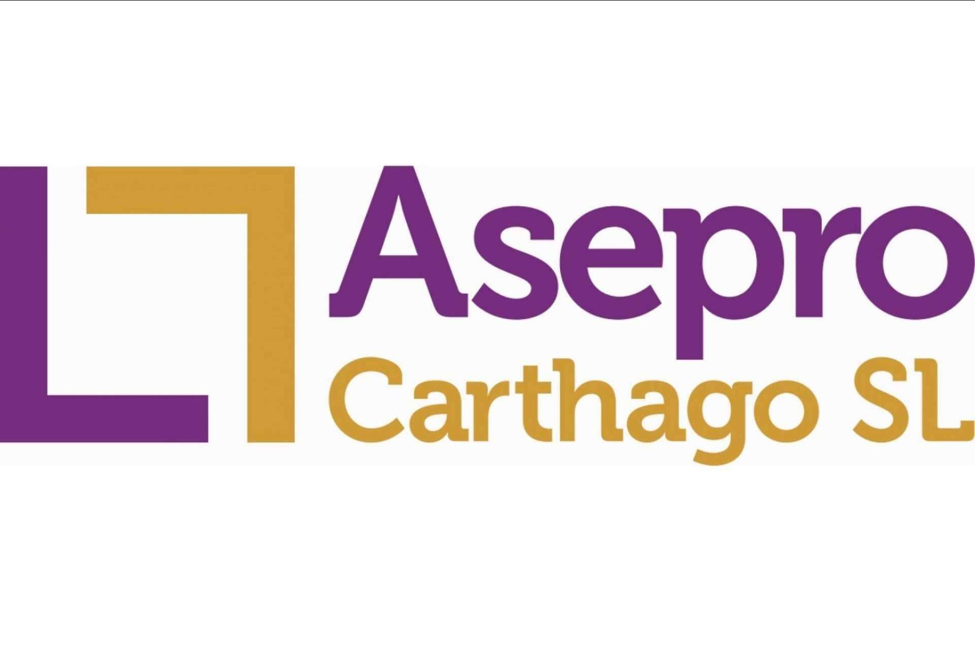 Asepro Carthago, la importancia de la contabilidad para la gestión de ...